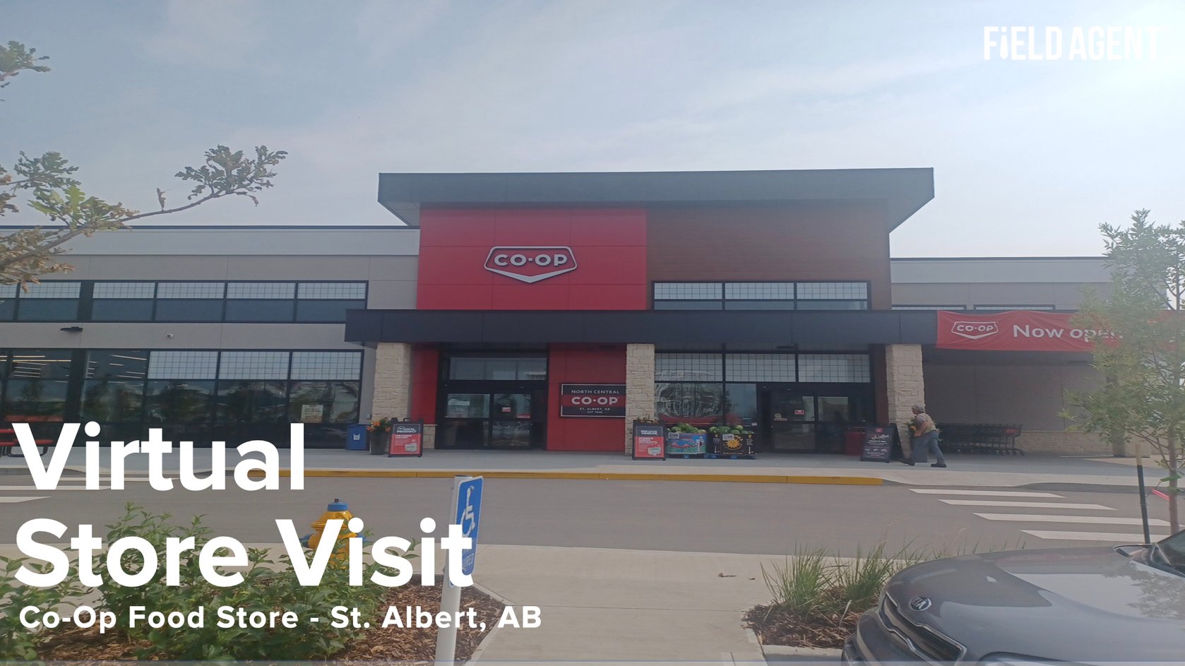 Field Agent - Virtual Store Visits