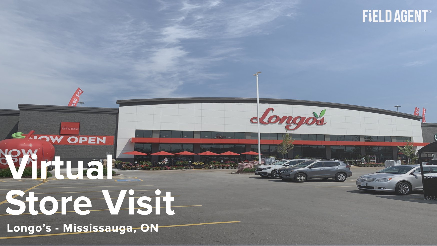 Field Agent - Virtual Store Visits